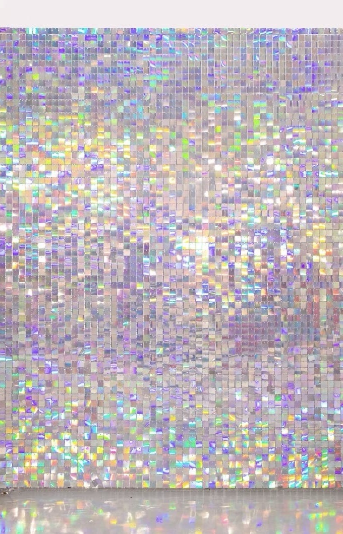 Iridescent Shimmer Wall Rentals | Easy Breezy Bash