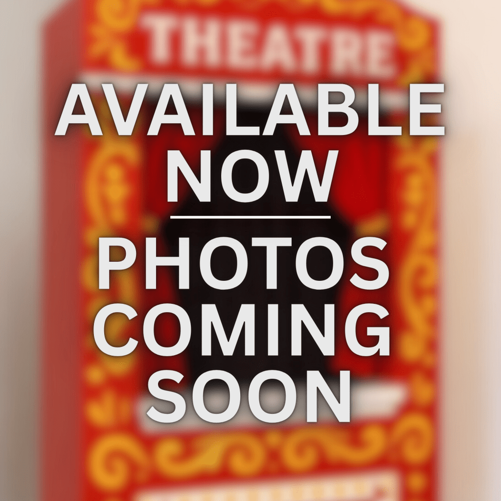 Puppet Theater Rental for Kids’ Birthday Parties & Events